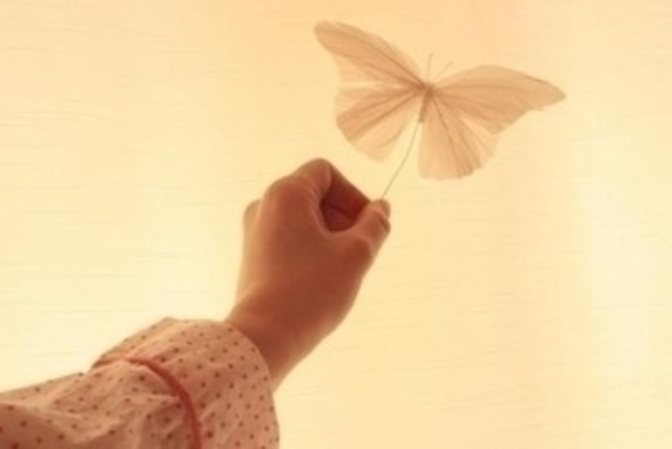 Өөртөө ч, өрөөл бусдад ч эдгээр зүйлсийг битгий хэлээрэй №2
