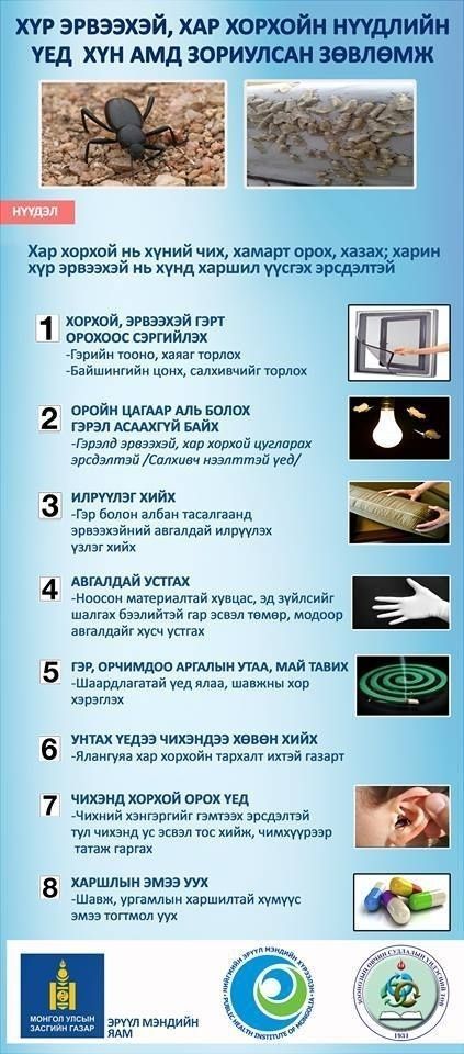Хүр эрвээхэй хар хорхойн нүүдлийн үед сэргийлэх зөвлөмж