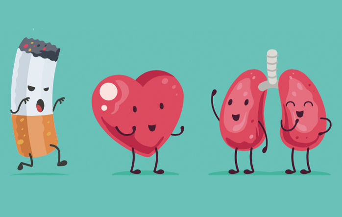 Тамхи бол бага тунтай хор