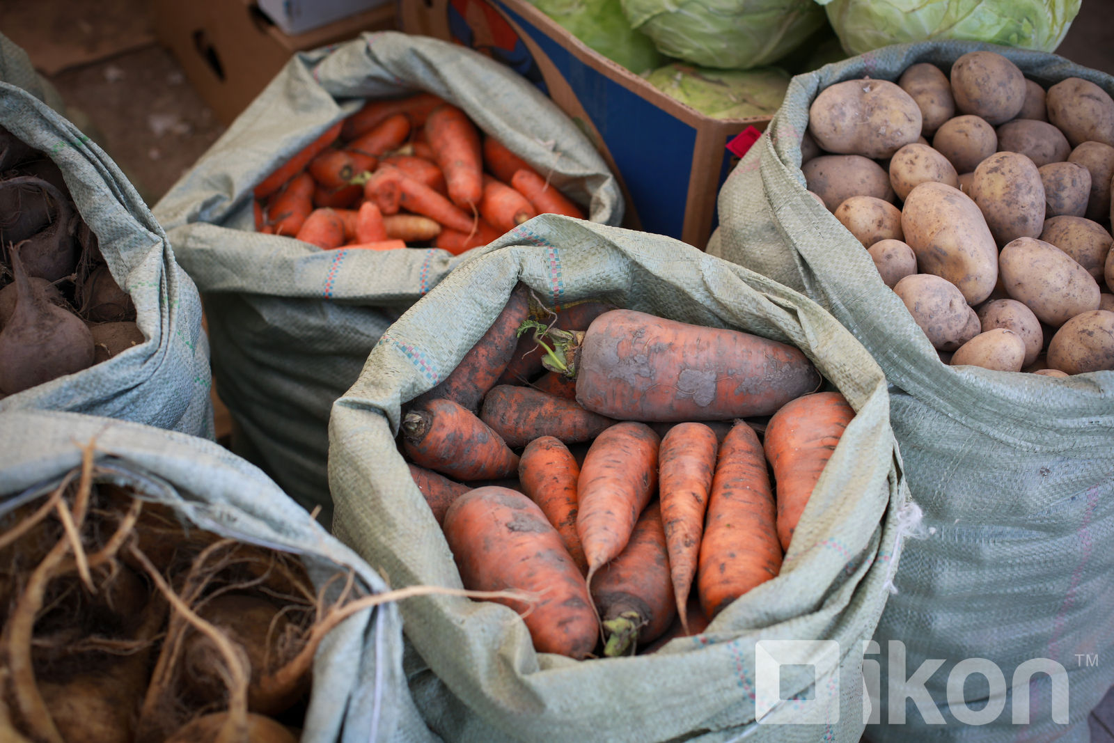 Дарханаас бусад аймагт өргөн хэрэглээний барааны үнэ өсчээ
