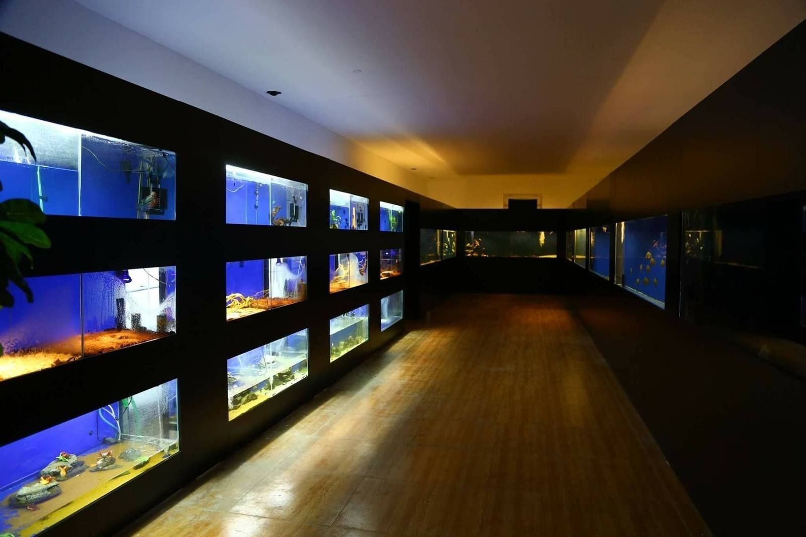 Зуныг гэр бүлээрээ зугаатай өнгөрүүлэх 10 АРГА