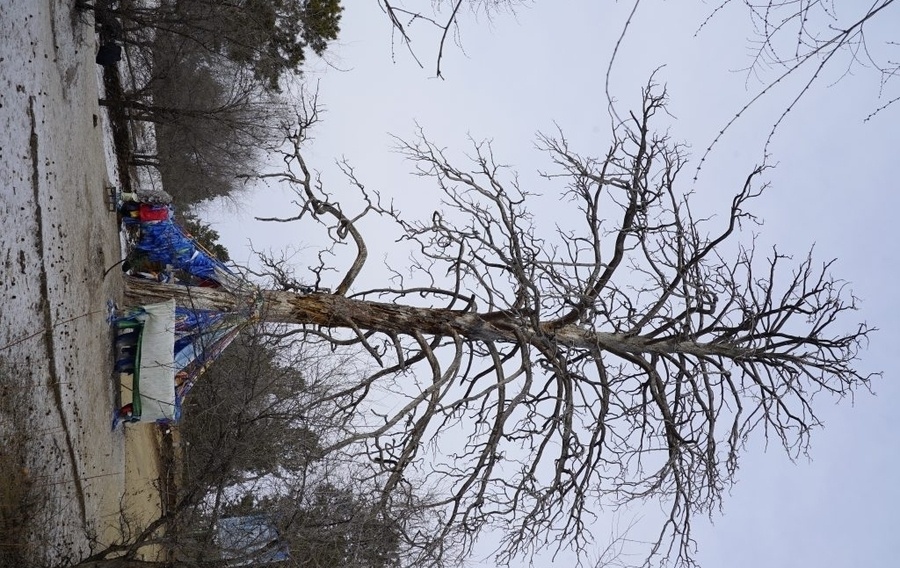 “Ээж хад” болон “Хийморийн овоо” орчмыг цэвэрлэжээ