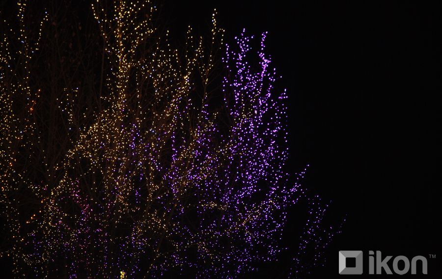 ФОТО Төв цэнгэлдэхийн хажуугийн мөсөн хотхонд хоолны үйлчилгээ ариун