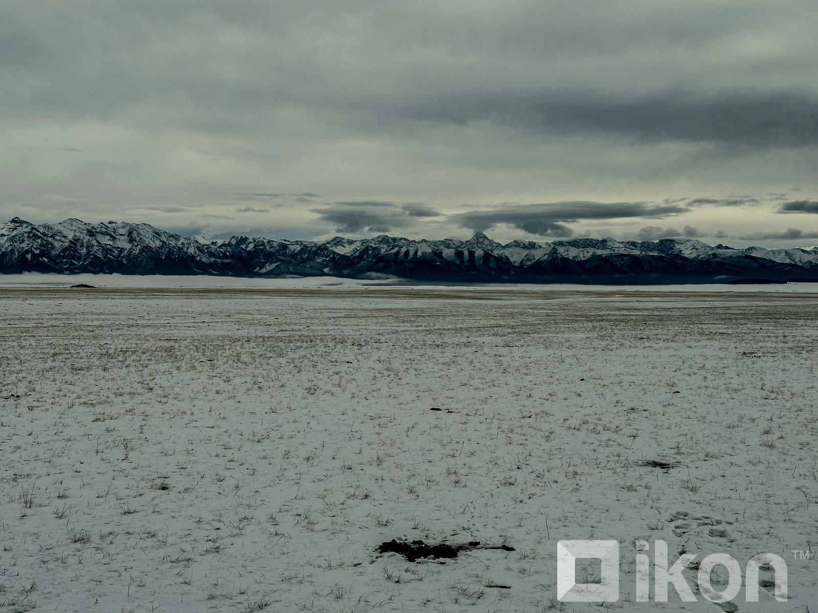 СЭРЭМЖЛҮҮЛЭГ: Согтууруулах ундаа хэрэглэсэн үедээ гэрээсээ гарч явсан ...