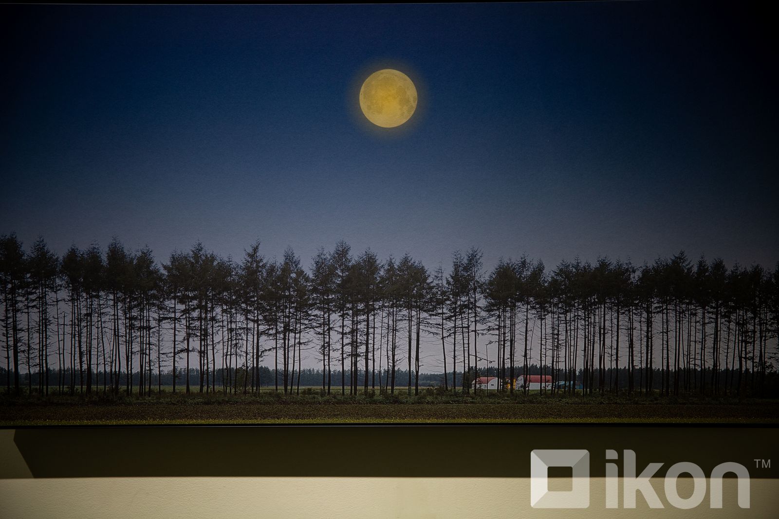 ФОТО Япон улсын уран бүтээлчийн Монгол дахь анхны үзэсгэлэн