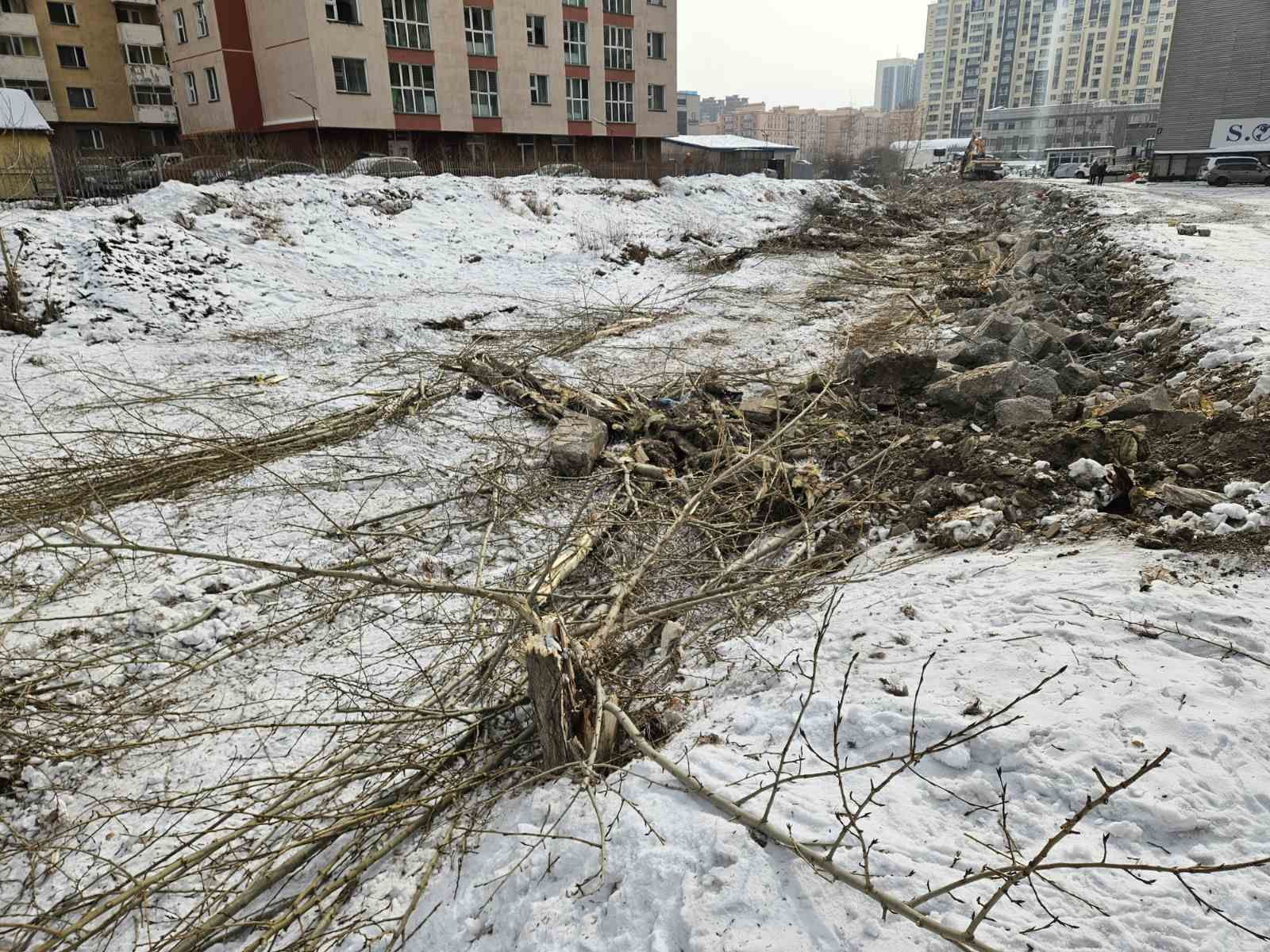 Сэлбэ голын дагуу мод тайрсан гэх асуудалд цагдаагийн байгууллагаас шалгалтын ажиллагаа явуулж
